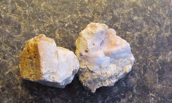 Boise River Opal, Woodpecker and Mud - Life Just off Interstate 84 in Idaho